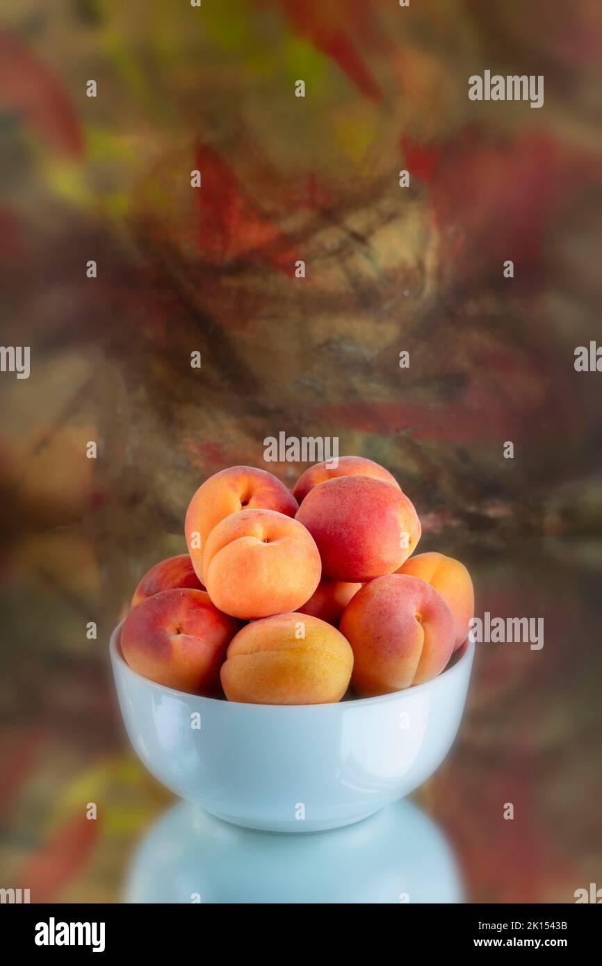 Classic food still-life of colourful Apricot fruit in a white bowl ...