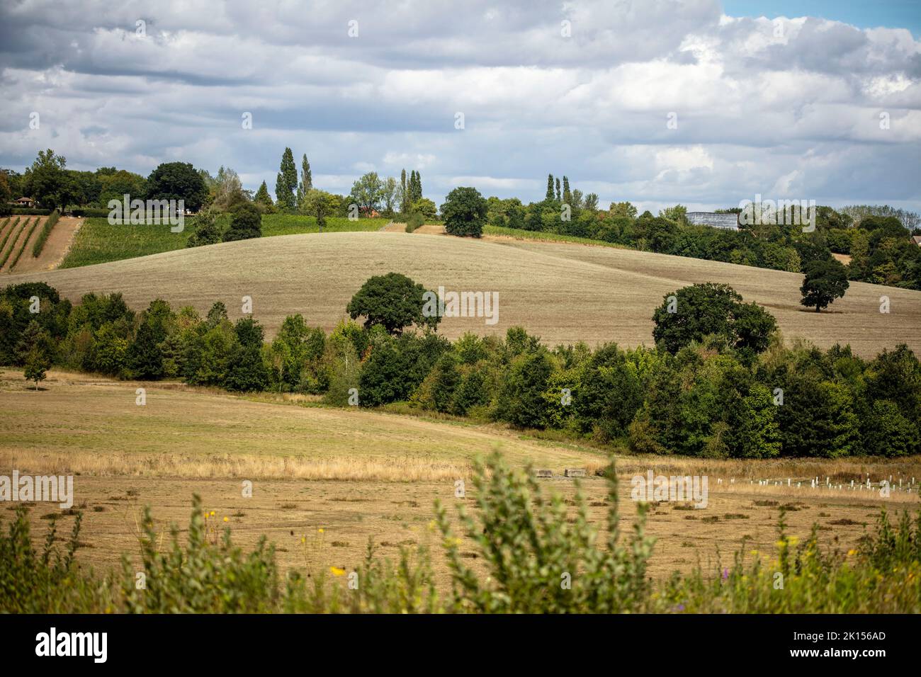 Agricultural landscape with tree lined hedges and harvested fields Stock Photo - Alamy