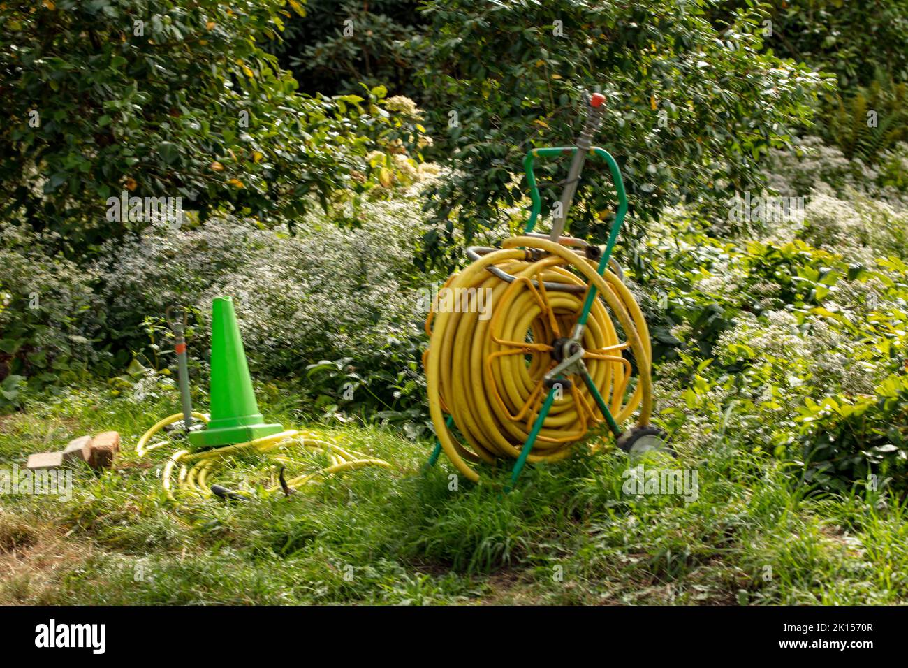 Yellow Hose and hose reel in natural garden setting Stock Photo - Alamy