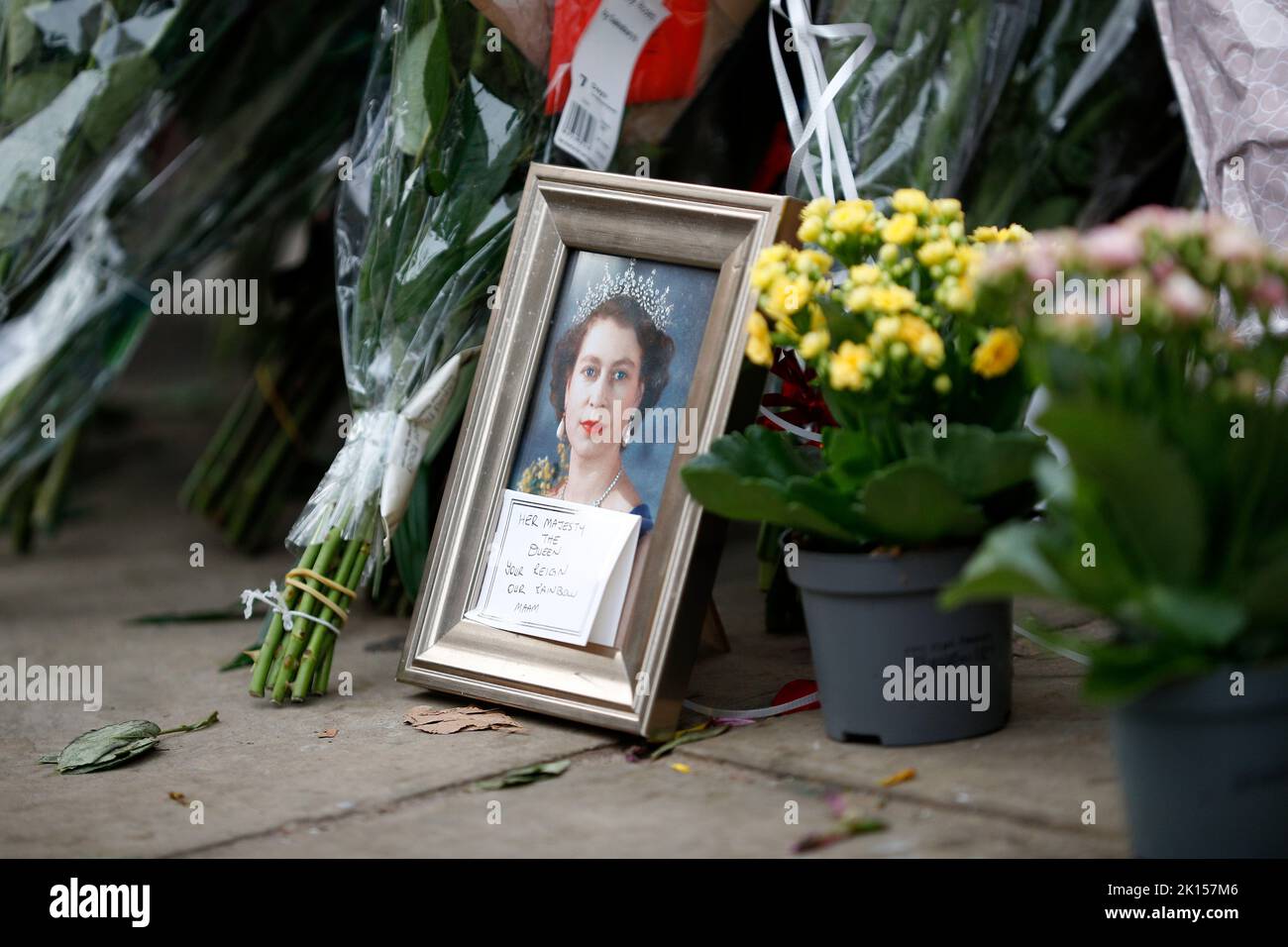 London UK 11th September 2022. Frame portrait of Queen Elizabeth ii ...