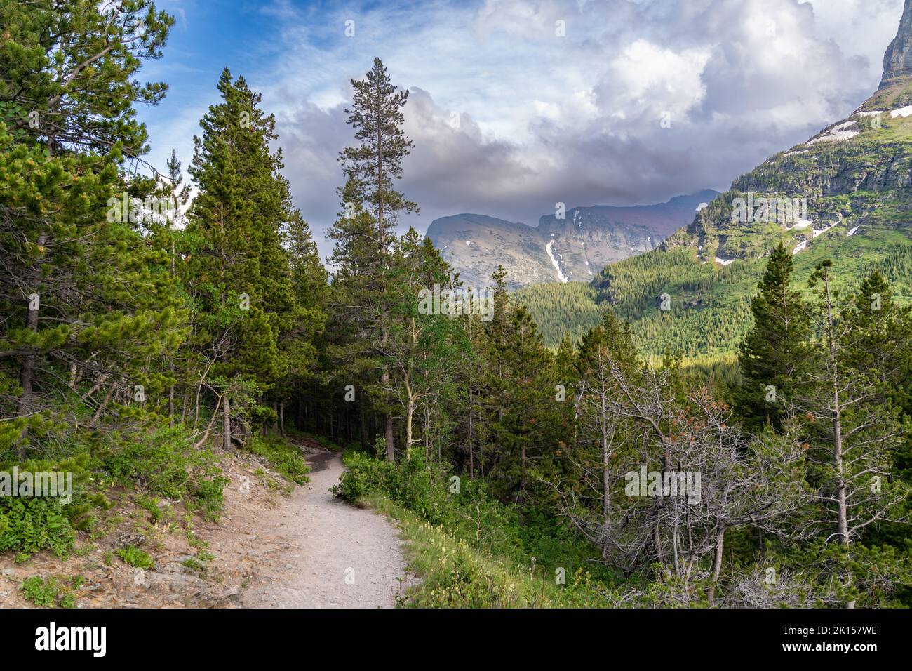 Scenery along the Swiftcurrent Pass hiking trail in Glacier National ...