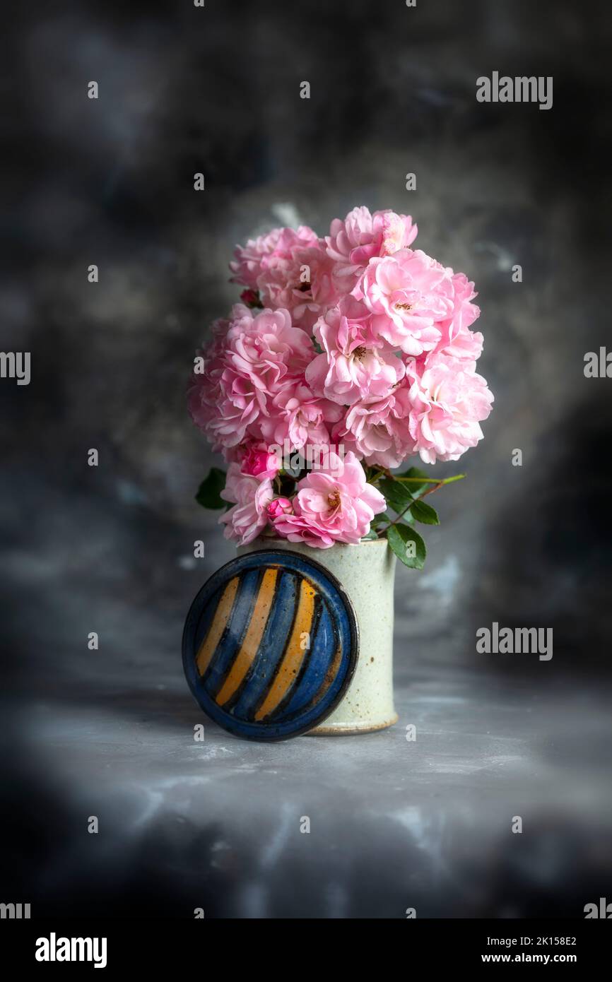 Pink roses close-up still life symbolising love and romance Stock Photo ...