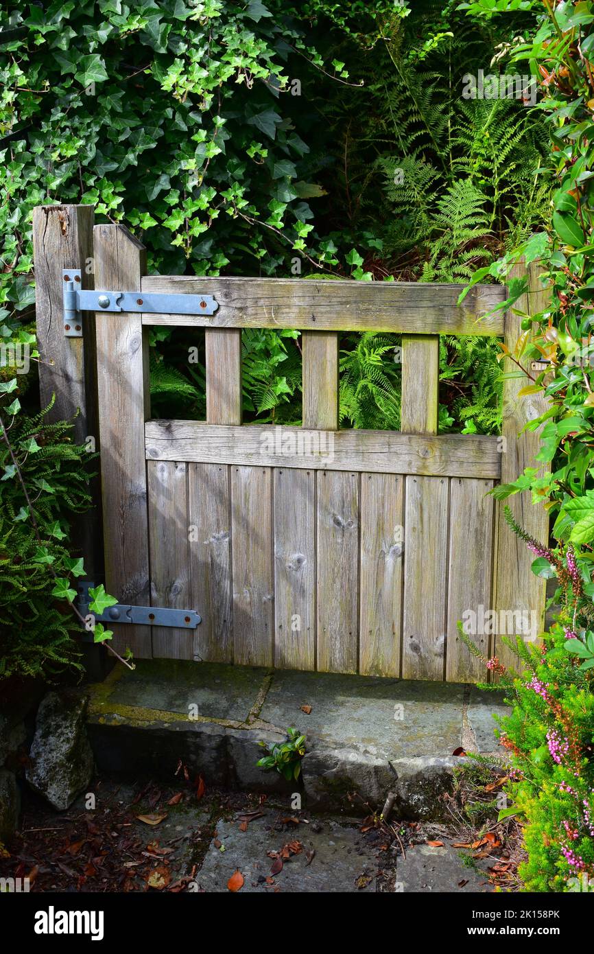 Cottage garden gate in Coniston in the Lake District UK Stock Photo - Alamy