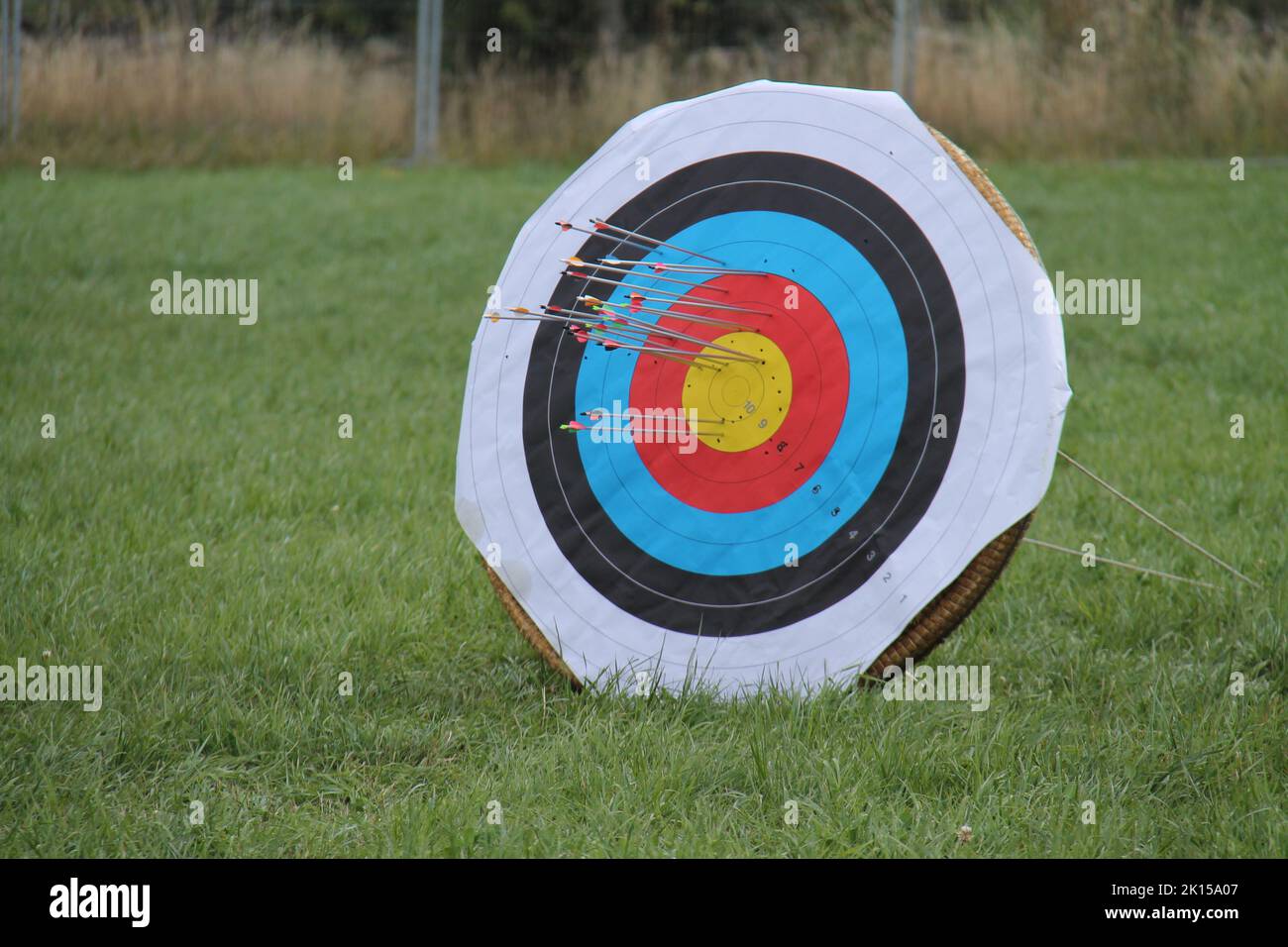 Third Hand Target Face