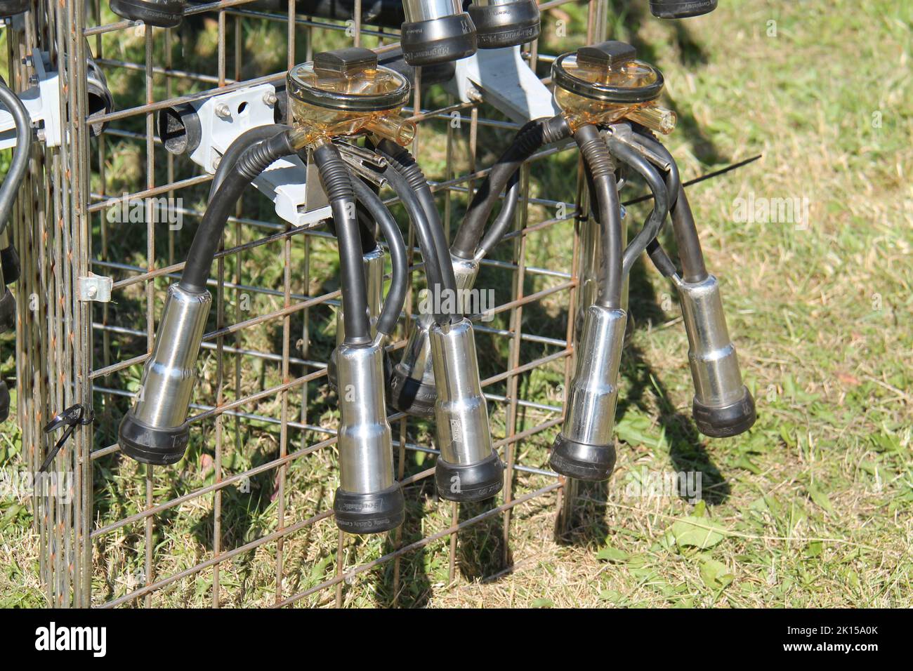 Milking cluster hi-res stock photography and images - Alamy