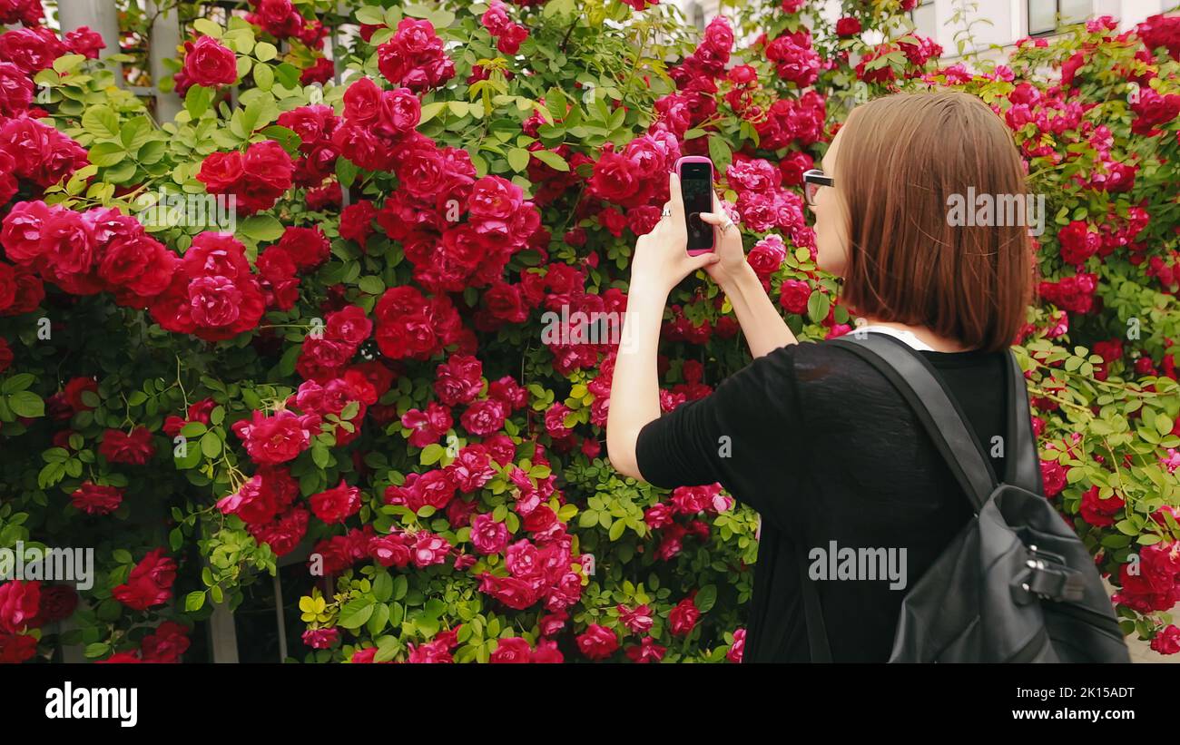 Young Caucasian women in glasses taking picture of red rose Stock Photo ...