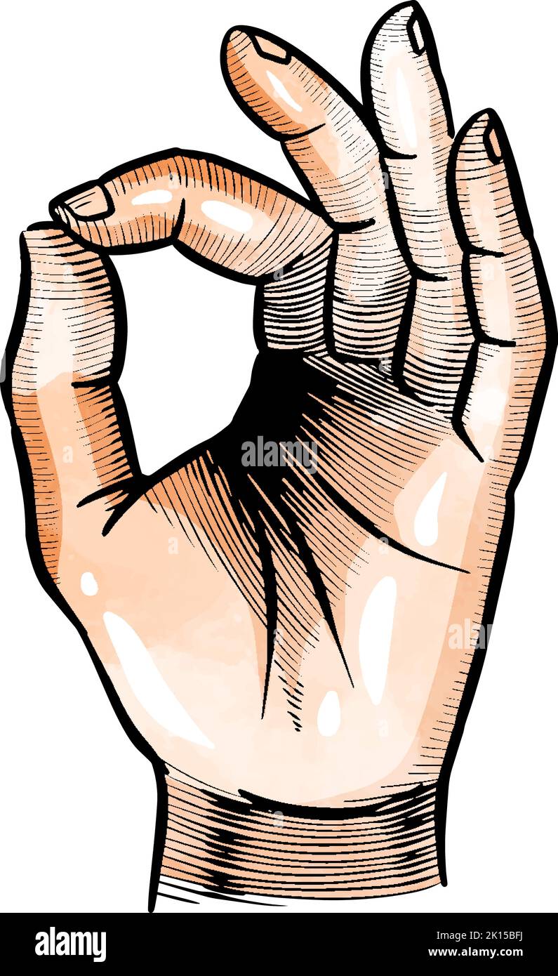Watercolor style ok hand sign hand drawn Stock Vector Image & Art - Alamy