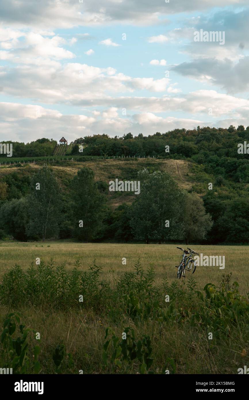 A vertical shot of green forest under blue sky in Chlaba, Slovakia with ...