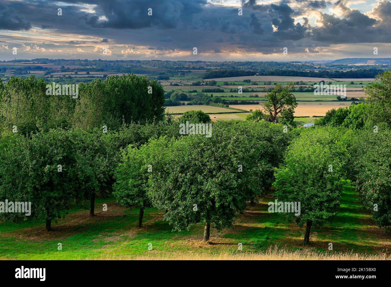 Somerset England Burrow Hill Stock Photo - Alamy