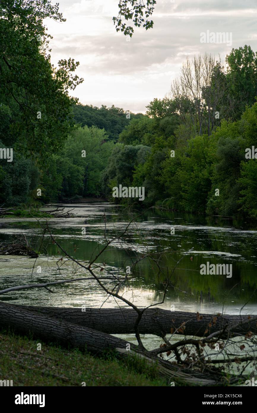 A vertical shot of green forest with a river under blue sky in Chlaba ...