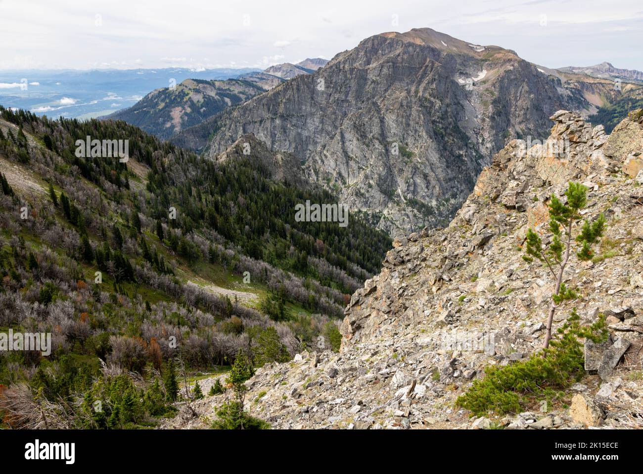 The steep cliffs of Death Canyon rising high beyond a rock wall along ...