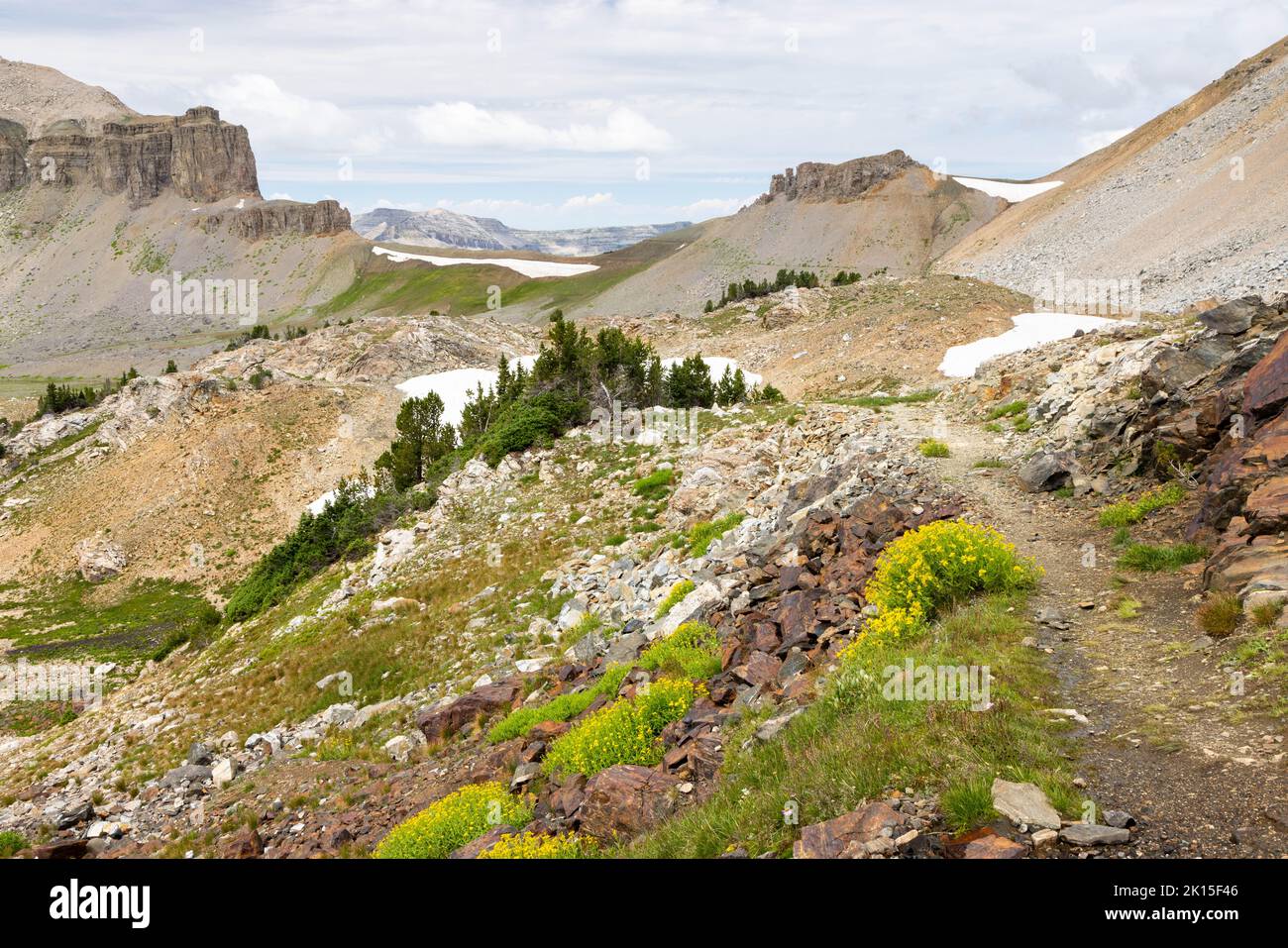 The Alaska Basin Trail winding through scree and wildflowers at the top ...