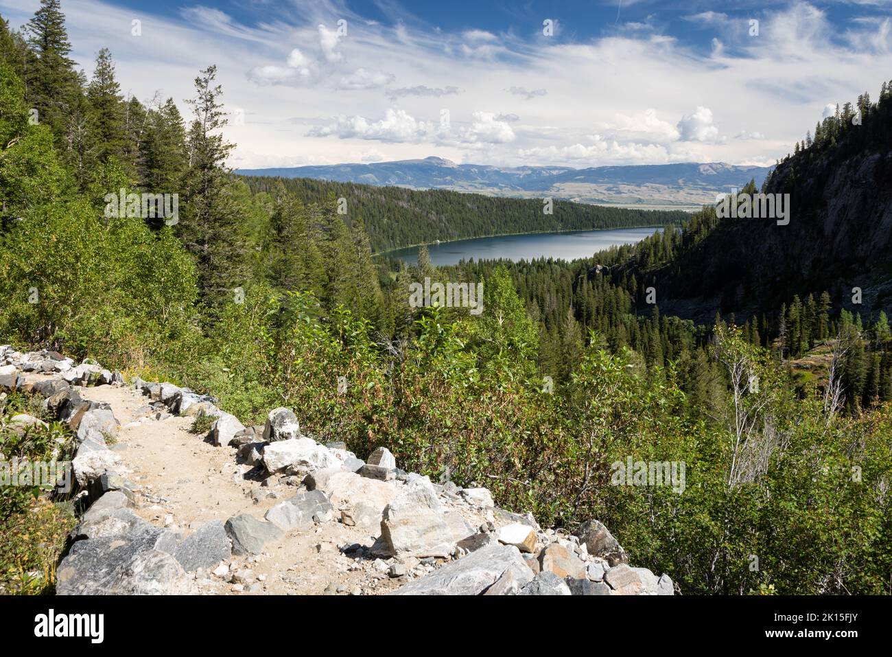 The Death Canyon Trail winding through the forest above Phelps Lake ...