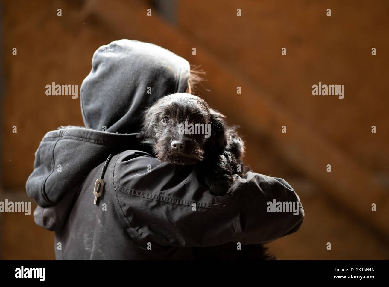 Rear view of man with hood carrying afraid cute dog on shoulder. Animal ...