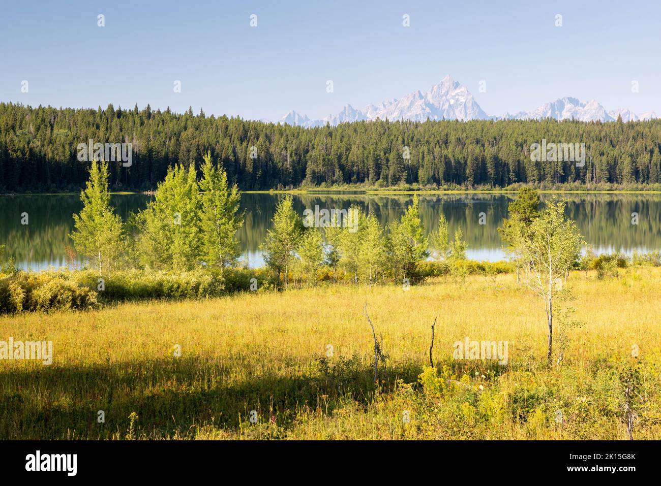 The Teton Mountains rising above the forests lining Two Ocean Lake ...