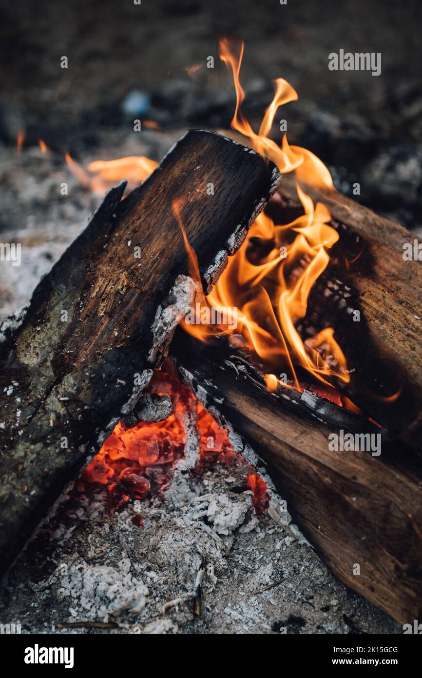 wild roaring flames in campfire pit Stock Photo - Alamy