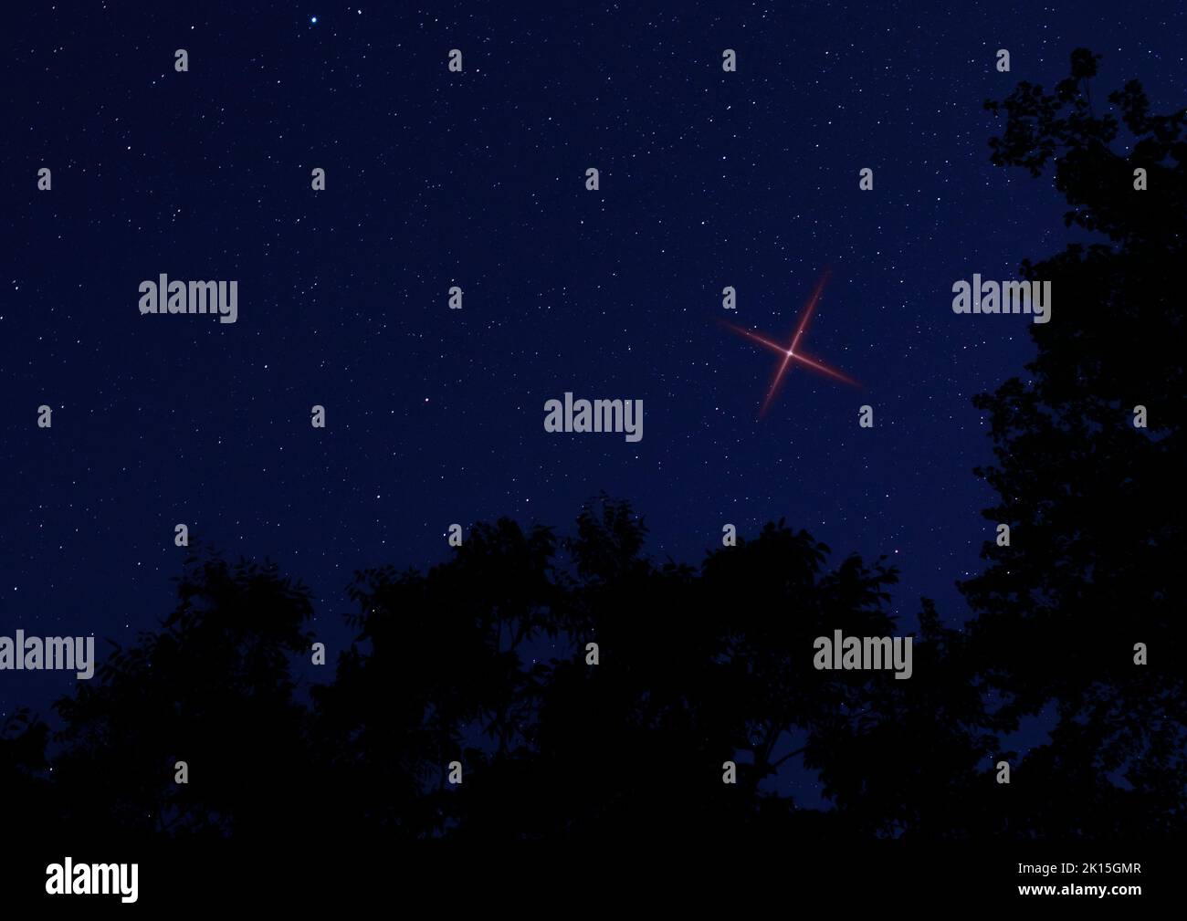 Bright redt star rising for Christmas over a treeline in North Carolina ...