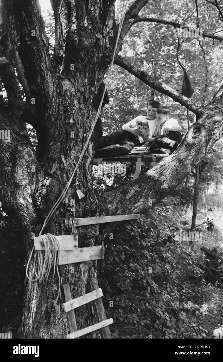 Two brothers share the joy of reading a comic book while hanging out in ...