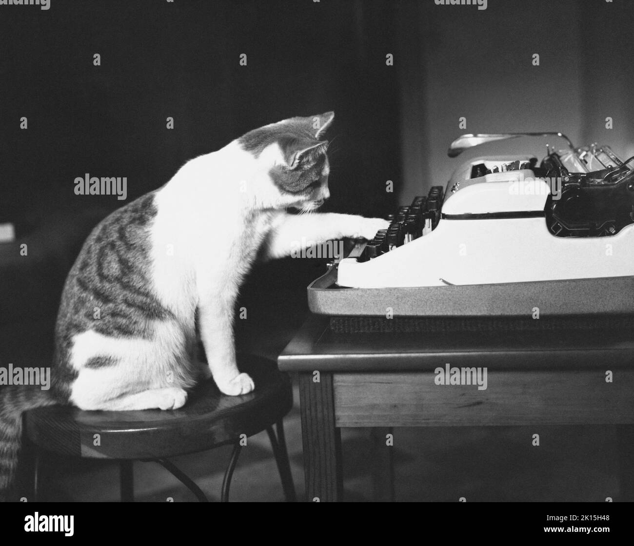 Typewriter and table Black and White Stock Photos & Images - Alamy