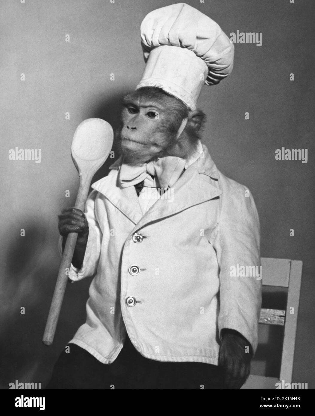 Chef in hat Black and White Stock Photos & Images - Alamy