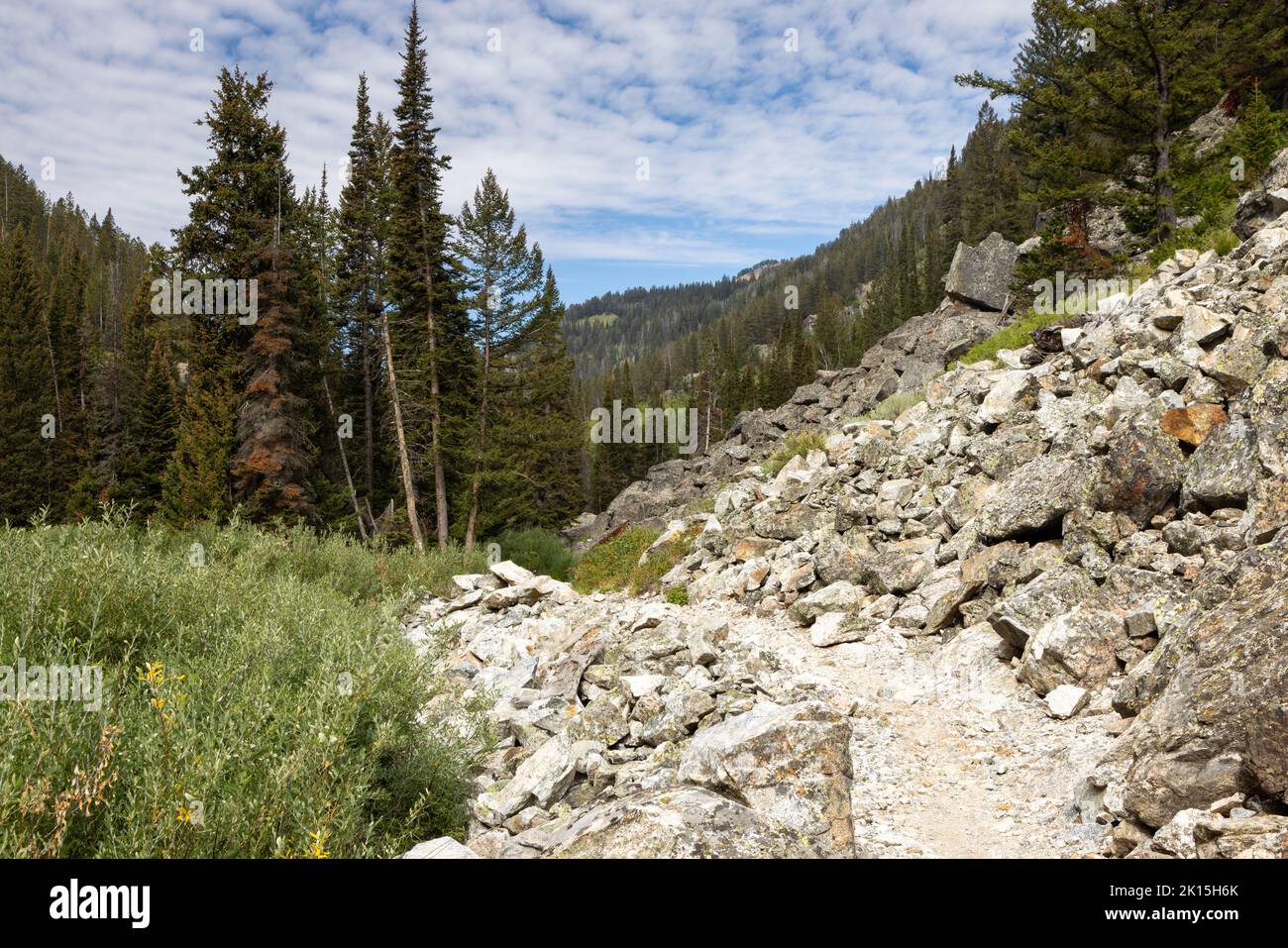 The Granite Canyon Trail twisting through boulders in Granite Canyon ...
