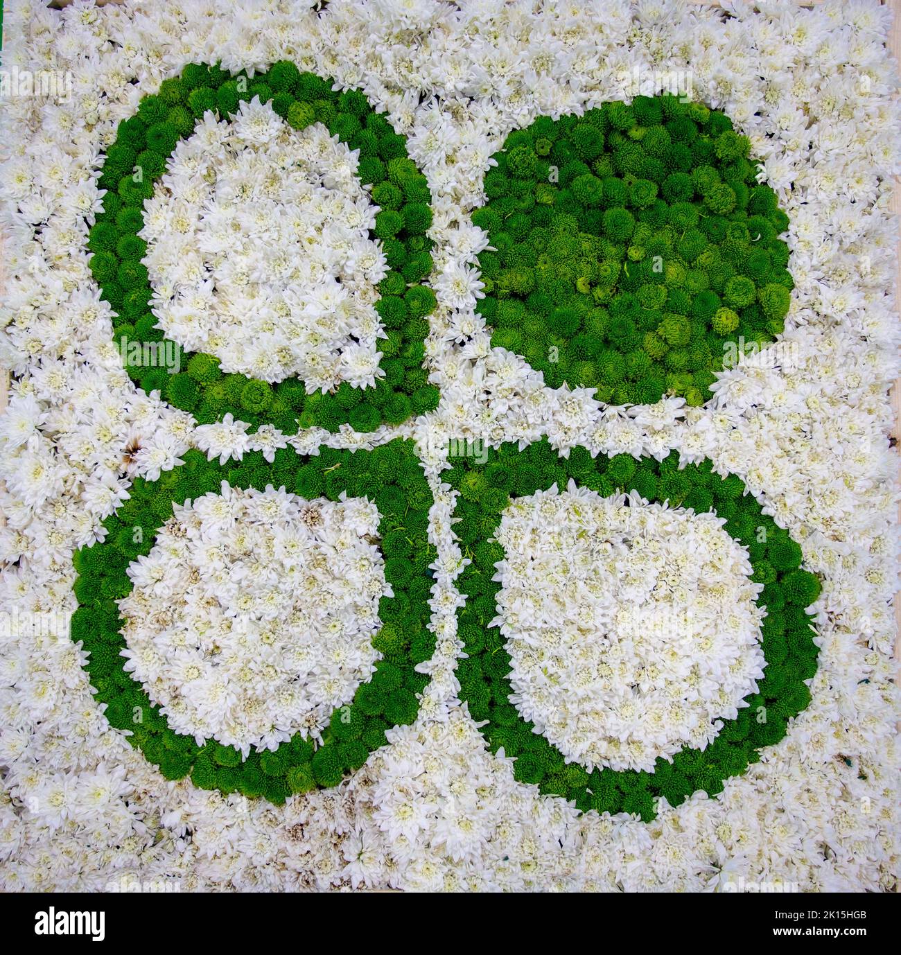 Top view of flowers and plants arranged in clover shape leaves, symbol ...