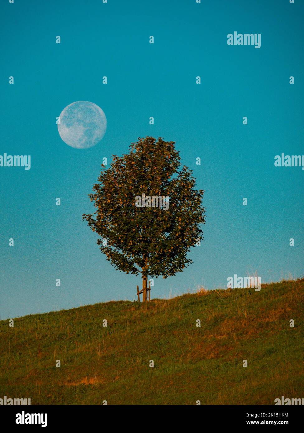 Scenery of the moon setting behind the mountain Stock Photo - Alamy