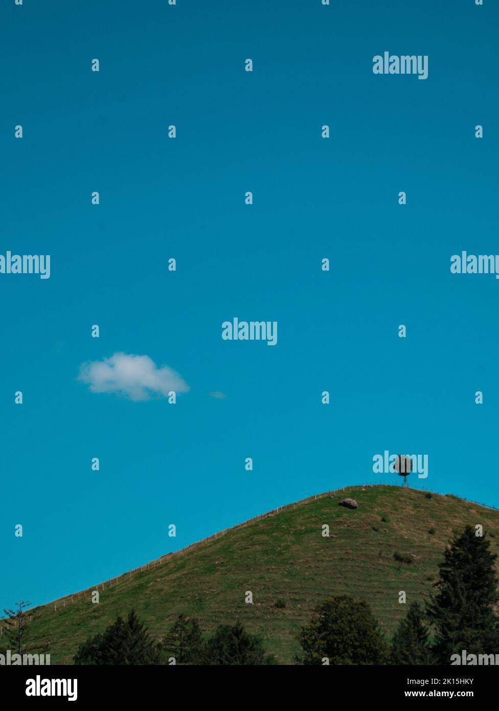 A grassy knoll with one small tree and one cloud in the sky Stock Photo ...