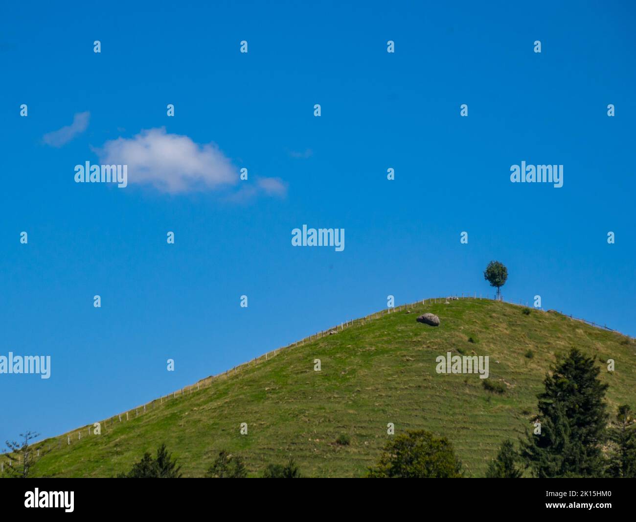 A grassy knoll with one small tree and one cloud in the sky Stock Photo ...