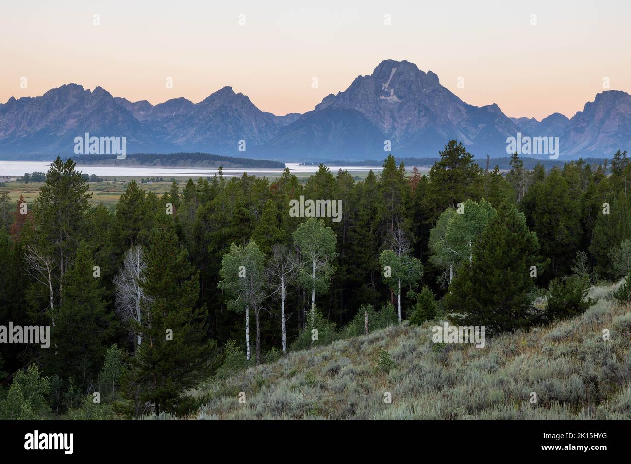 Mount Moran rising above Jackson Lake and the forests below the Oxbow ...