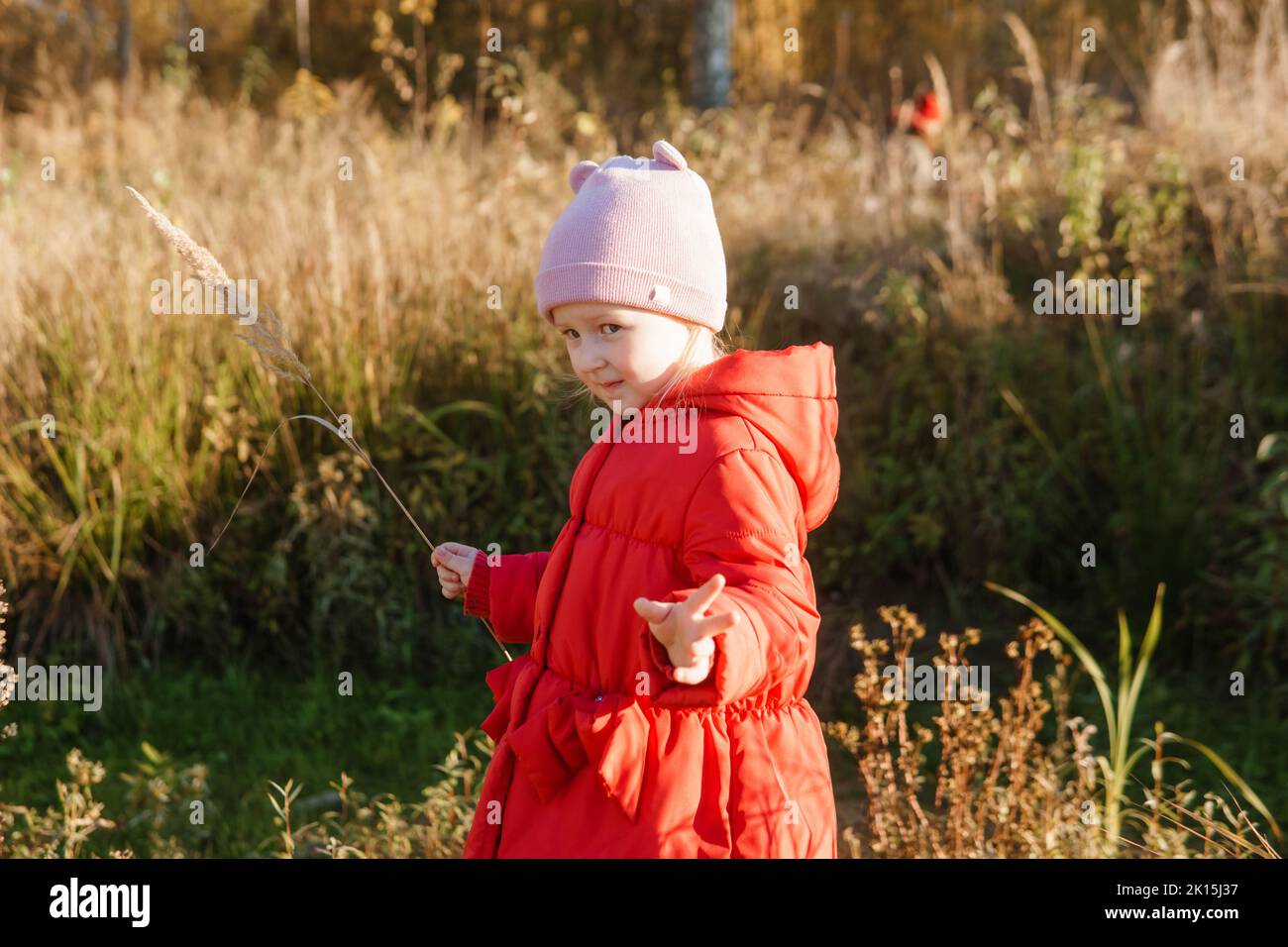 A little girl in a red coat walks in nature in an autumn grove. The ...