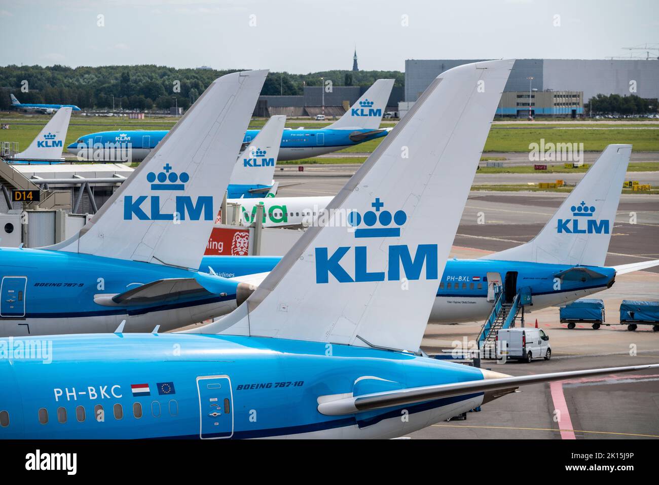 Amsterdam Schiphol Airport, aircraft at terminal, Gates D, check-in ...