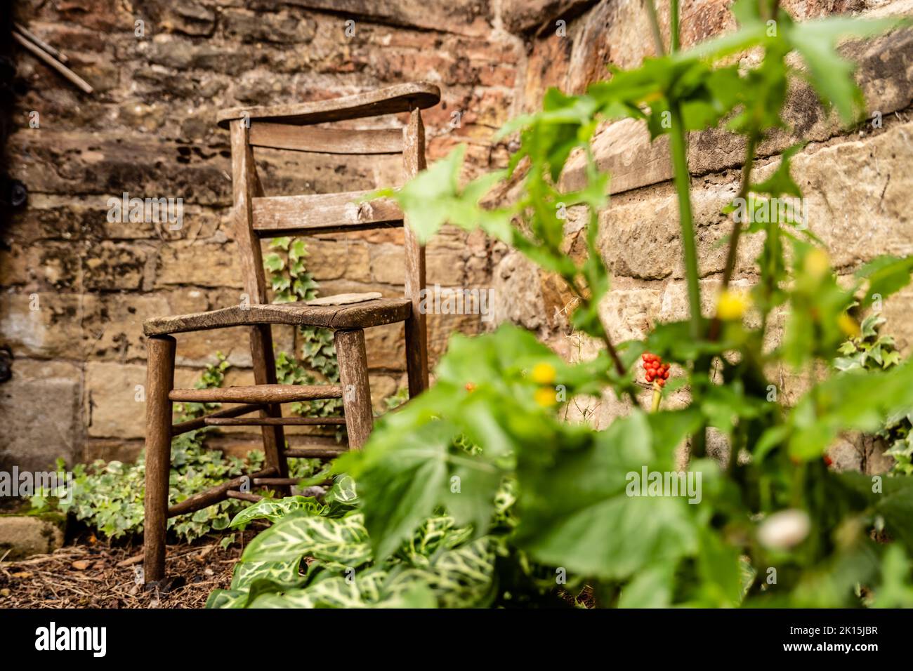 Empty grave yard hi-res stock photography and images - Alamy