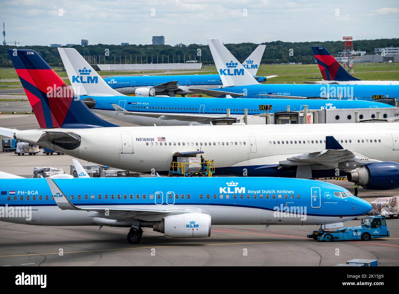 Amsterdam Schiphol Airport, aircraft at terminal, Gates D, check-in ...