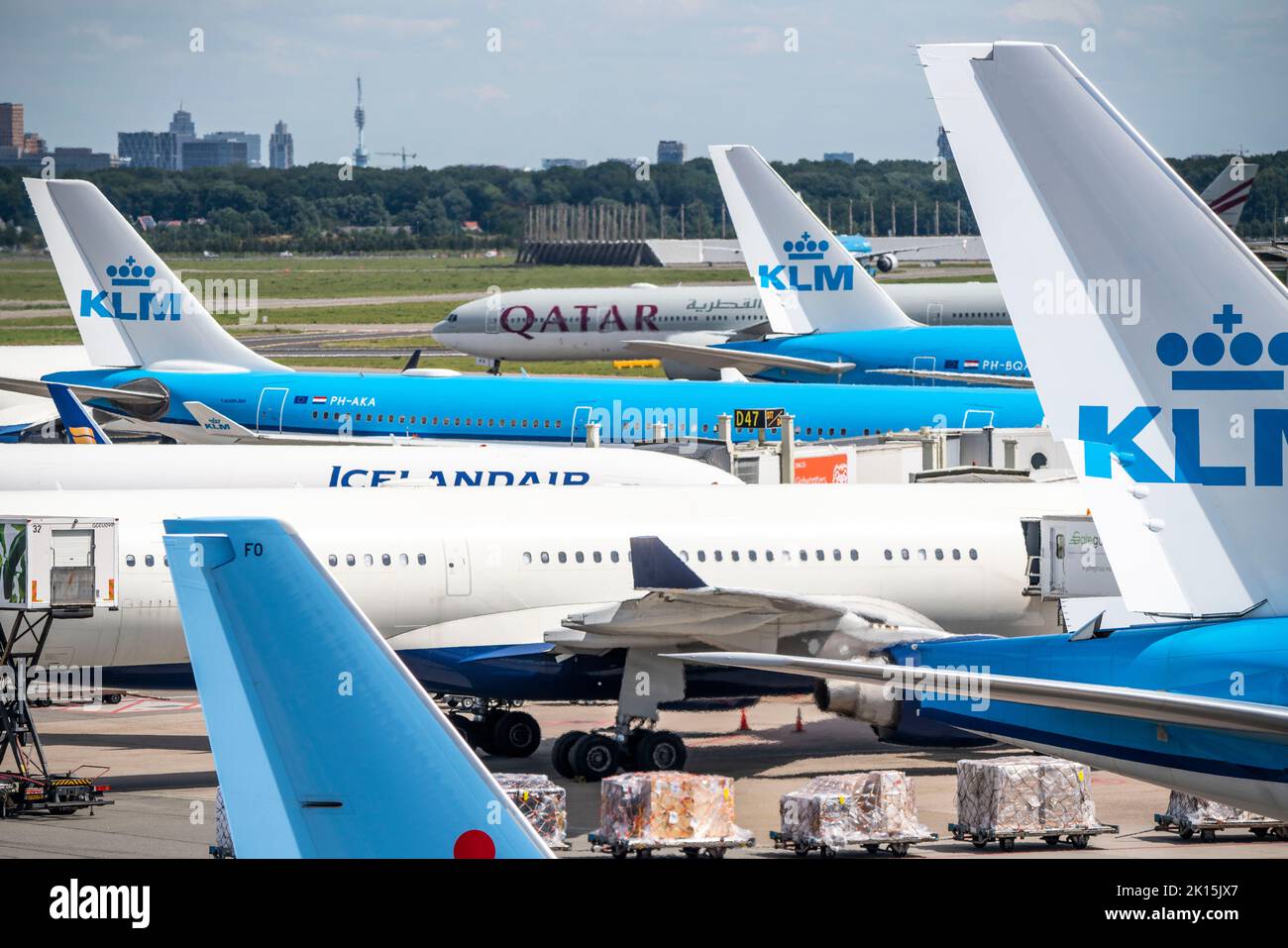 Amsterdam Schiphol Airport, aircraft at terminal, Gates D, check-in ...