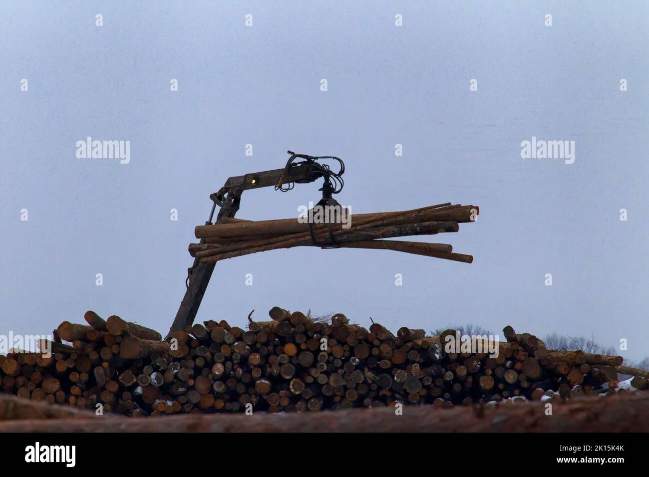 Forest industry. Operations for loading-unloading logging truck at ...