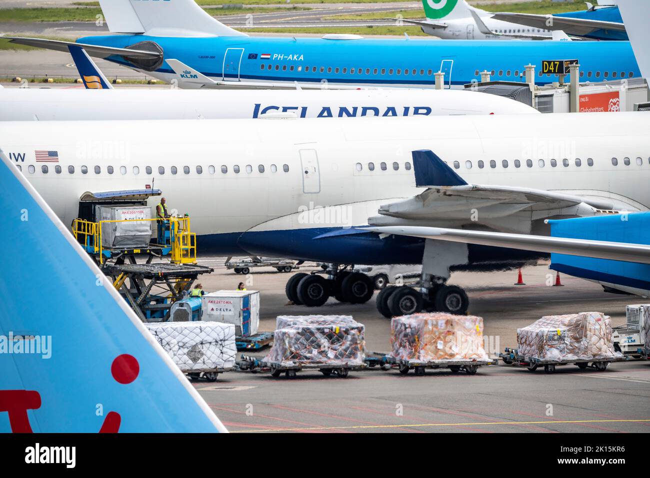 Amsterdam Schiphol Airport, aircraft at terminal, Gates D, check-in ...