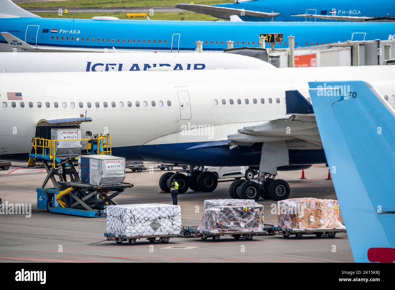 Amsterdam Schiphol Airport, aircraft at terminal, Gates D, check-in ...