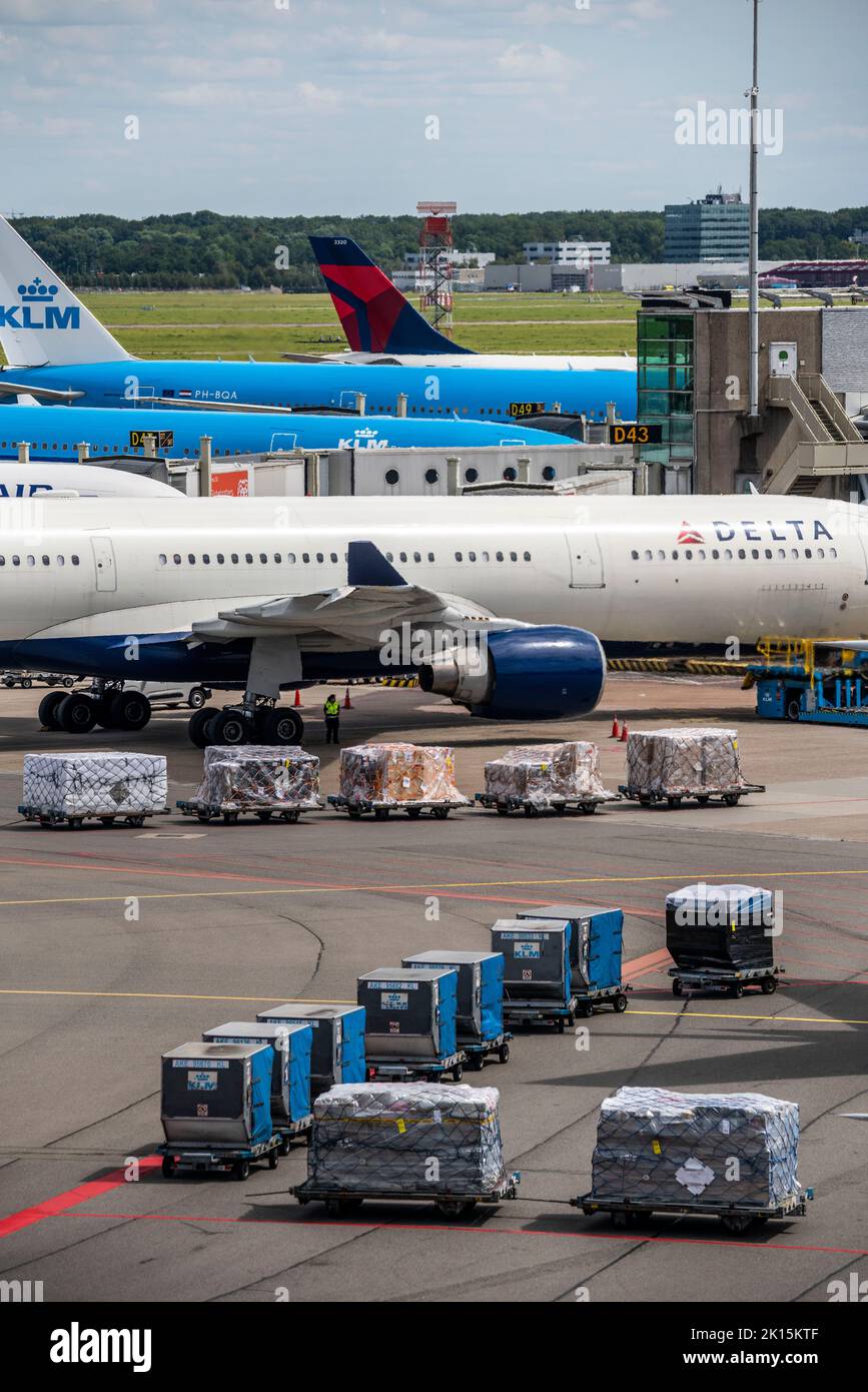 Amsterdam Schiphol Airport, aircraft at terminal, Gates D, check-in ...