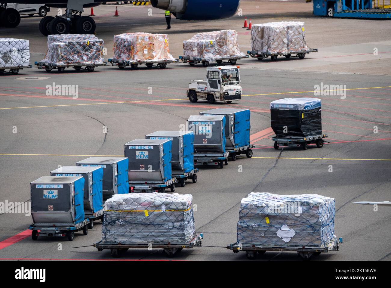 Amsterdam Schiphol Airport, aircraft at terminal, Gates D, check-in ...