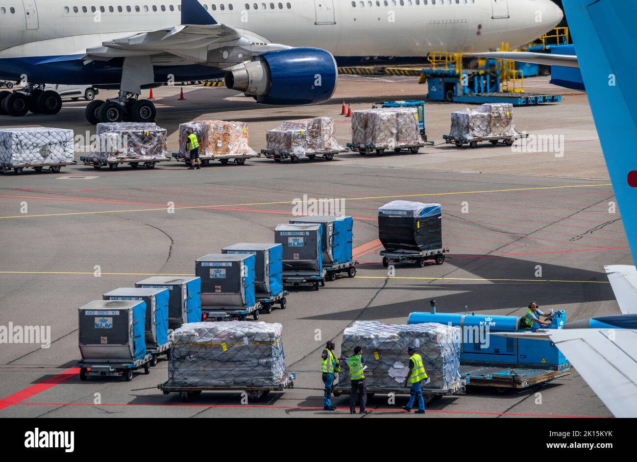 Amsterdam Schiphol Airport, aircraft at terminal, Gates D, check-in ...