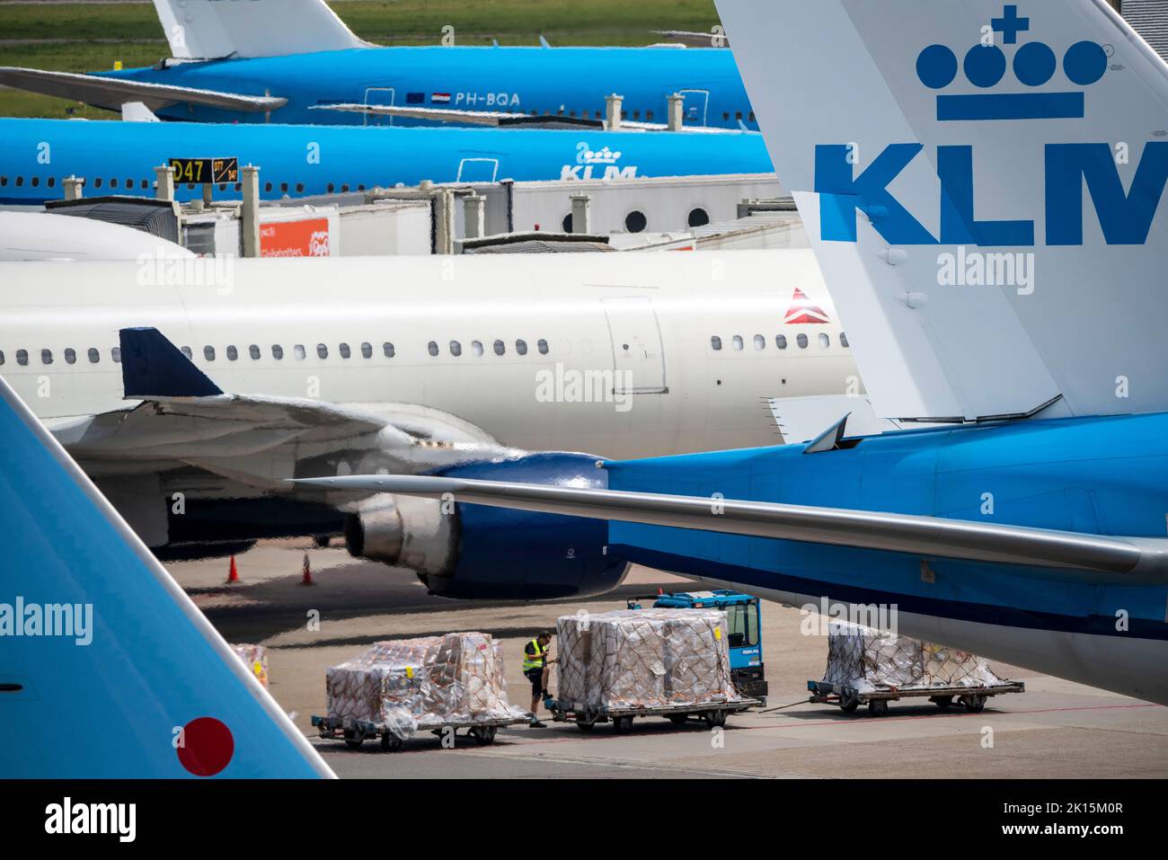 Amsterdam Schiphol Airport, aircraft at terminal, Gates D, check-in ...