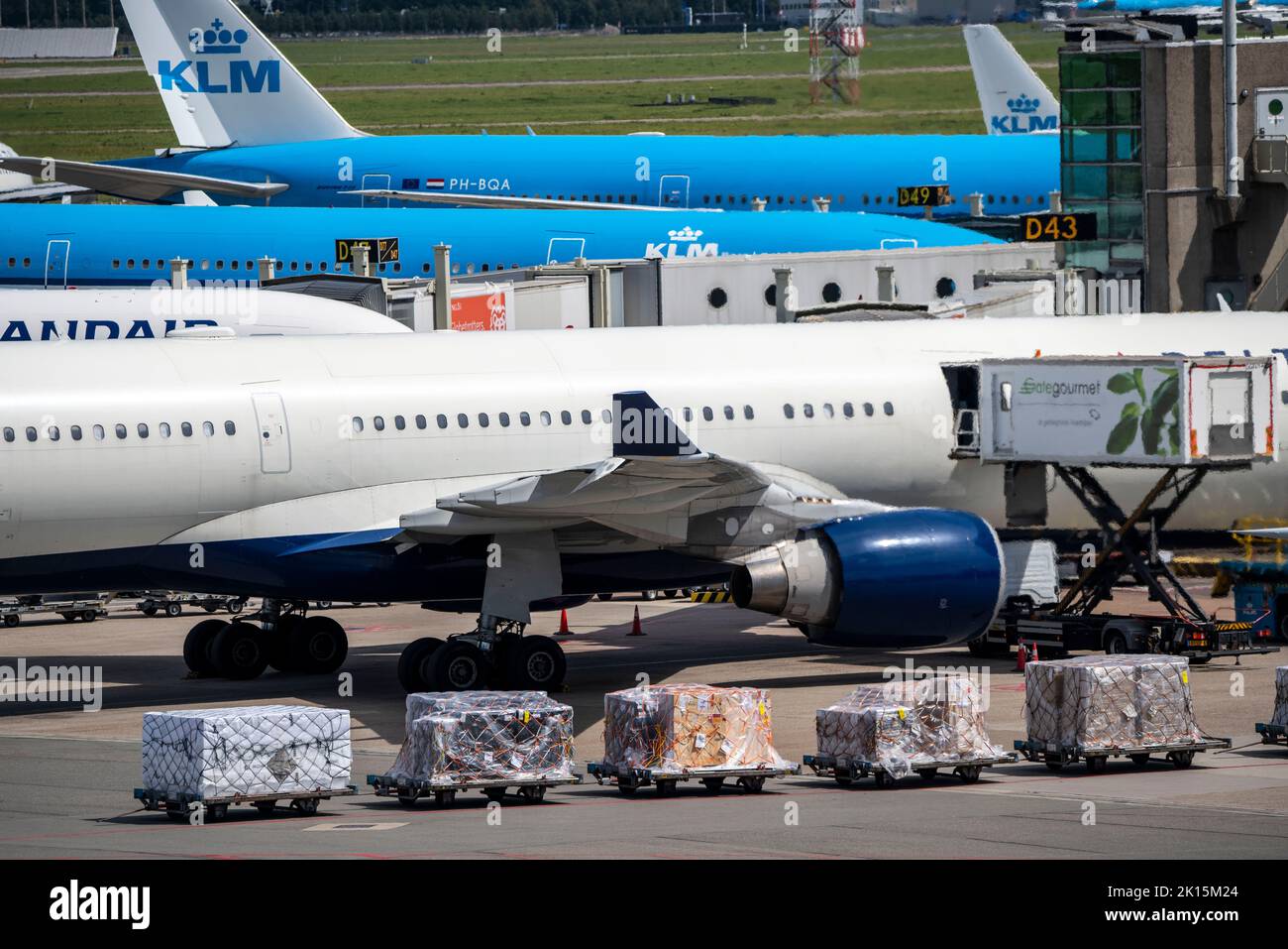 Amsterdam Schiphol Airport, aircraft at terminal, Gates D, check-in ...