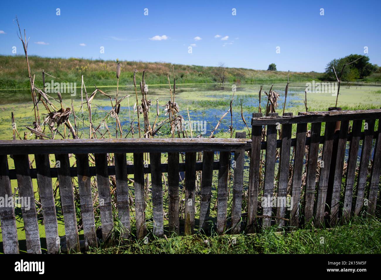 A flooded vegetable garden seen behind a fence in the village of ...