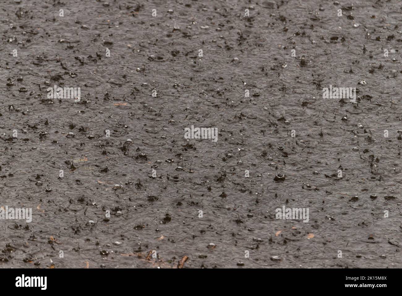 Large puddle of rain water hi-res stock photography and images - Alamy