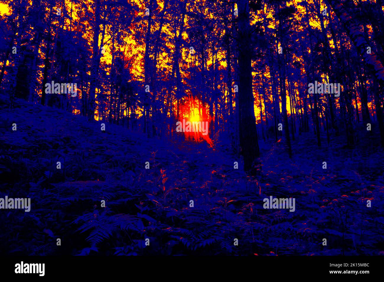 The setting sun (the disk of the sun) makes its way through the ...