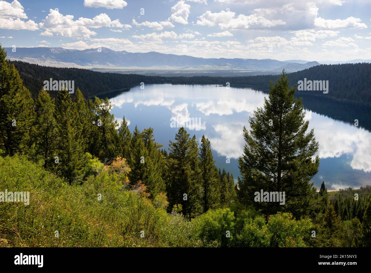 Thick forests surrounding Phelps Lake below the Valley Trail as it ...