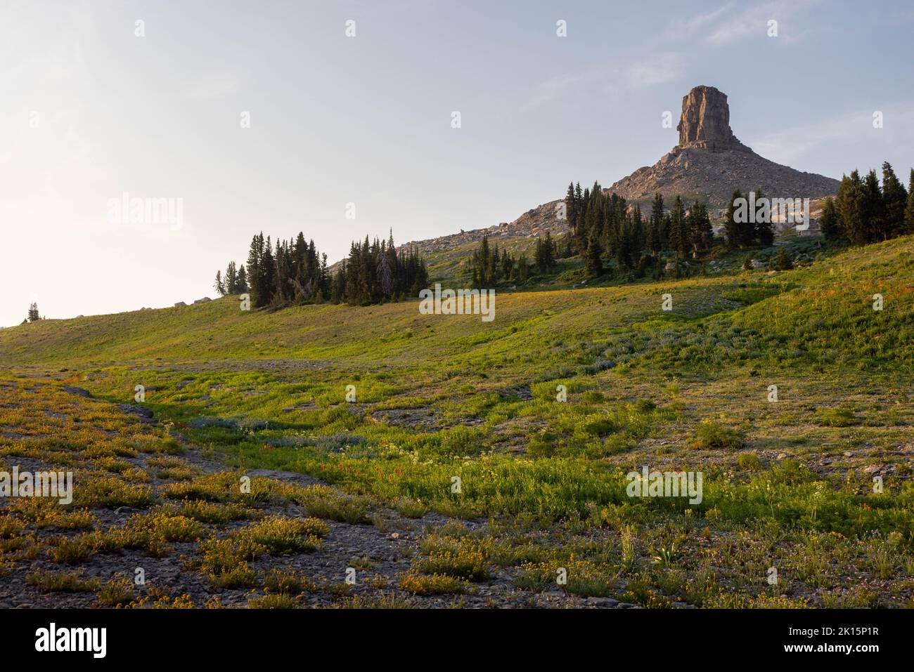 Spearhead Peak rising above alpine meadows along the Teton Crest Trail ...