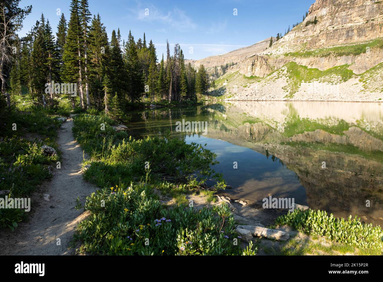 A forest of evergreens lining the shores of Marion Lake as the Teton ...