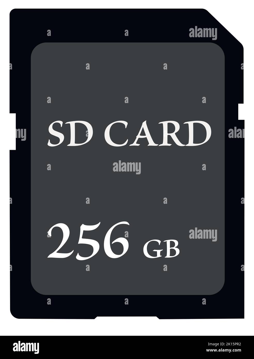 SD card 256 GB symbol icon illustration vector on white background grey ...